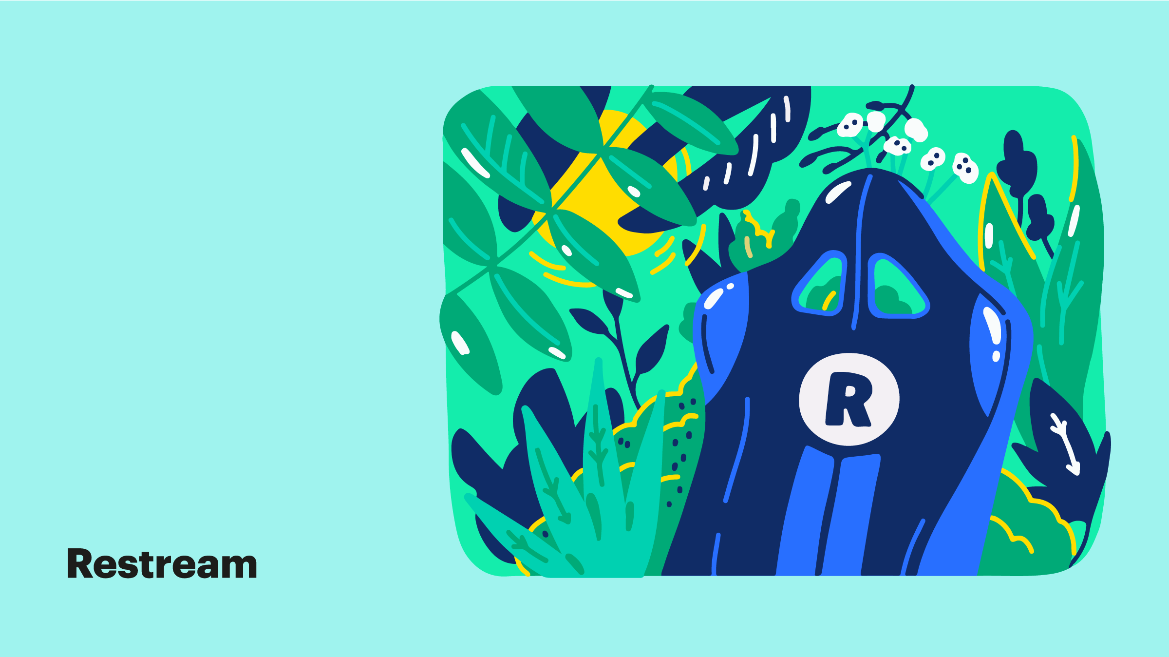 How to Use a Green Screen (Chroma Key) – Restream Blog